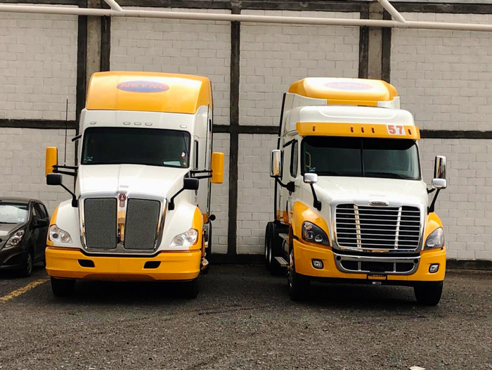 TRANS NEYNO S.A DE C.V.